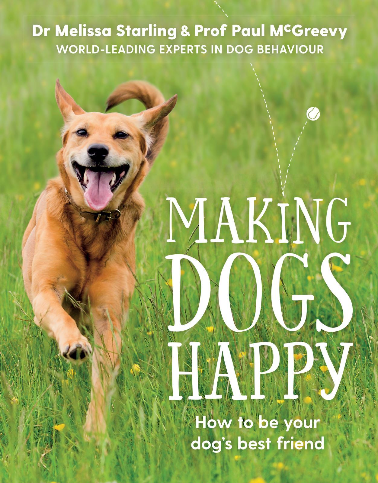 Making Dogs Happy: The expert guide to being your dog's best friend ...