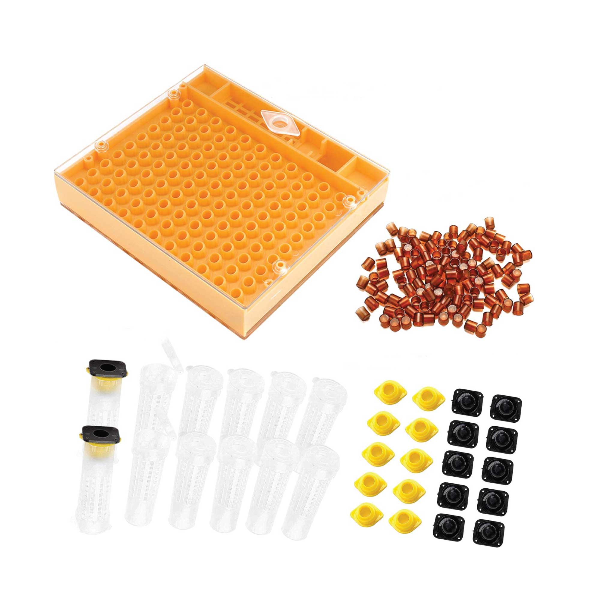 Nicot Queen Bee Rearing System - Basic Kit 'Rooster Farms' | Ozdingo